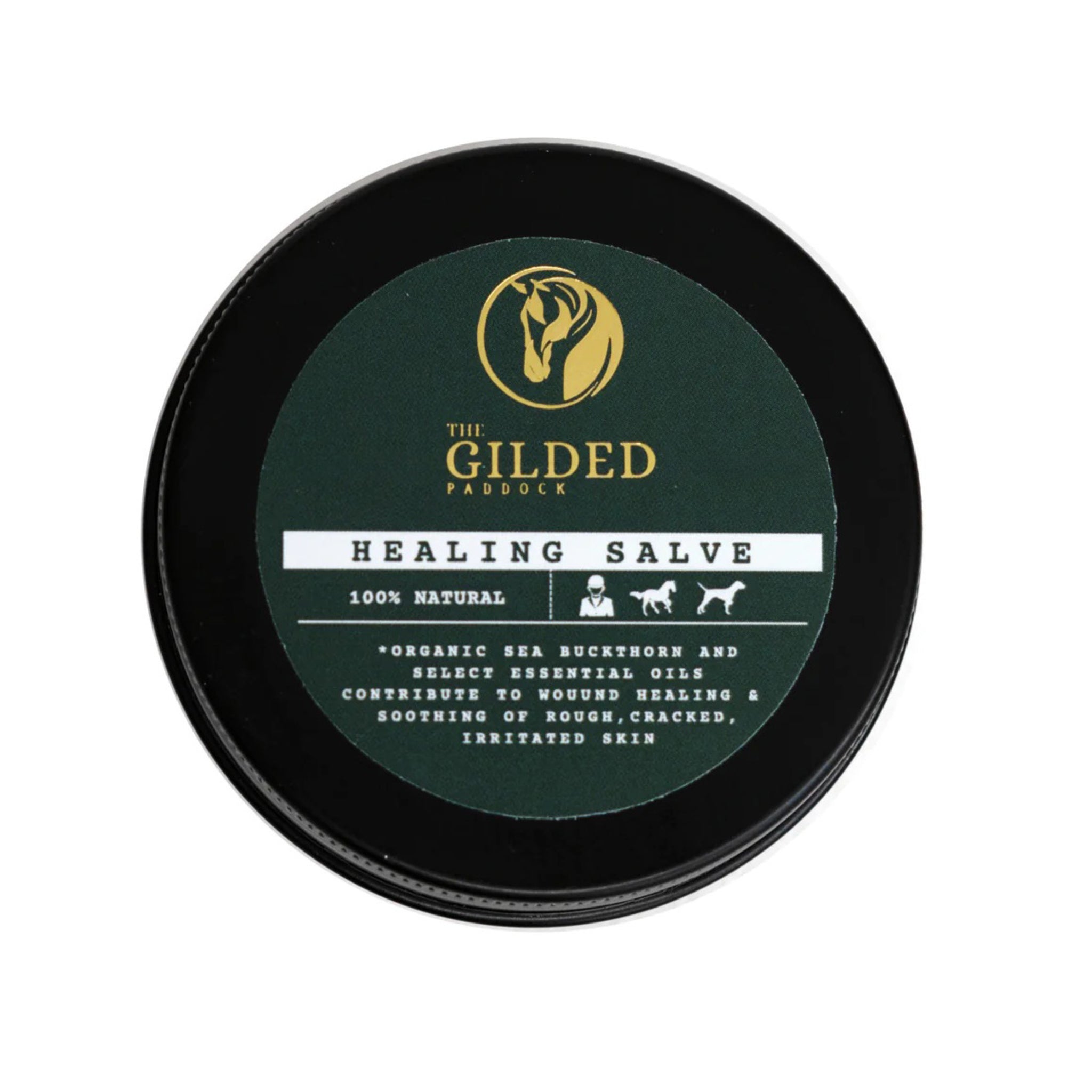 Gilded Paddock Healing Salve 2 oz